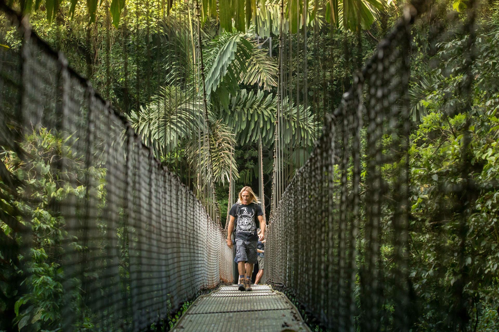 Costa Rican Rainforest Canopy